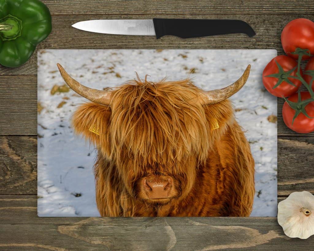 Glass Chopping boards - Paula Beaumont Adventures
